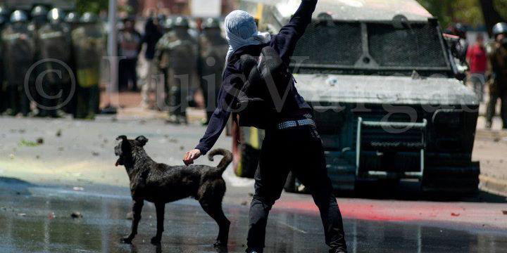 VIDEO: ‘Matapaco’, el perro revolucionario...