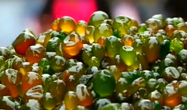 El cushuro, el alimento del futuro | Panamericana TV